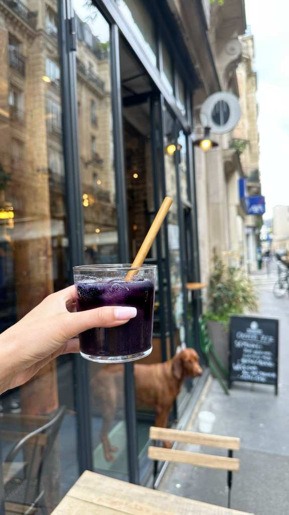 Bluessap, the new refreshing drink made with Blue Paste, enriched with ...